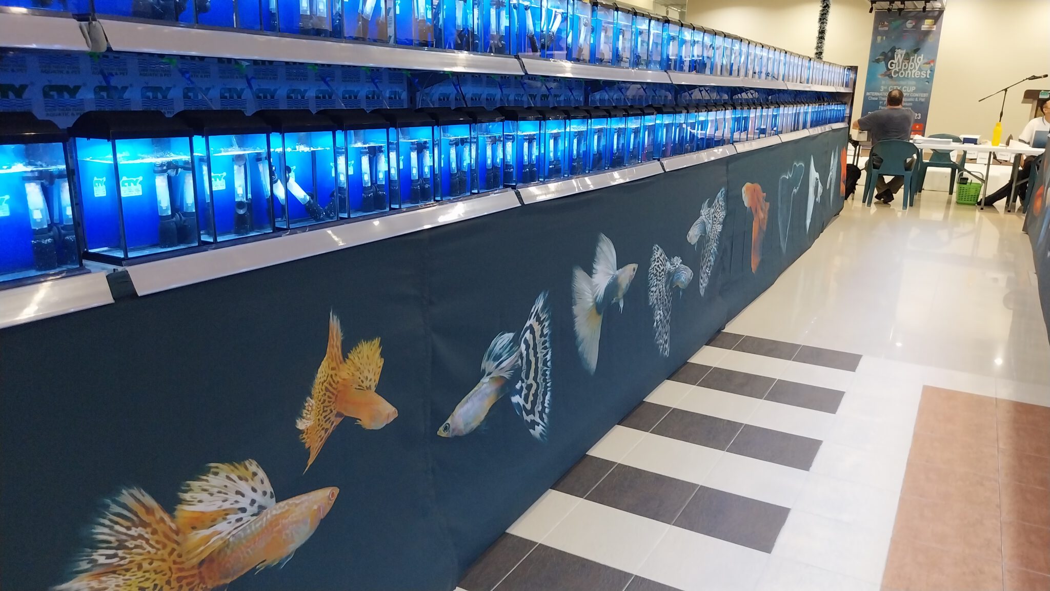 23. World Guppy Contest 2023 – Guppy-Züchter Deutschland
